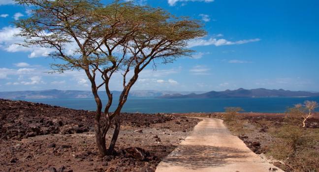 The Lakes of Kenya Travel Guide - Expert Picks for your Vacation ...