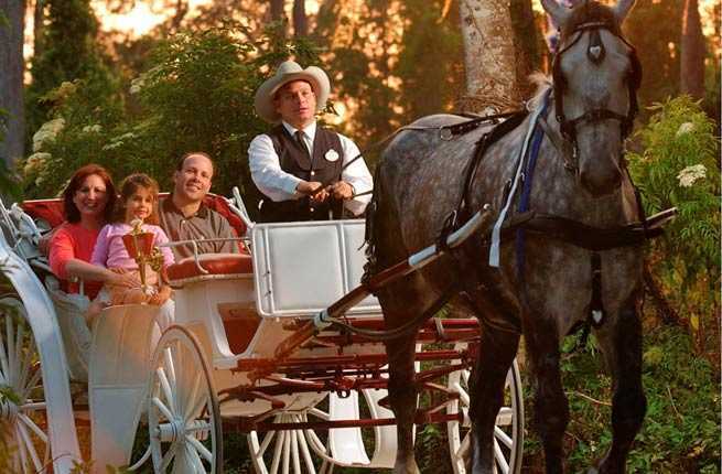 20 Essential Walt Disney World Tips – Fodors Travel Guide