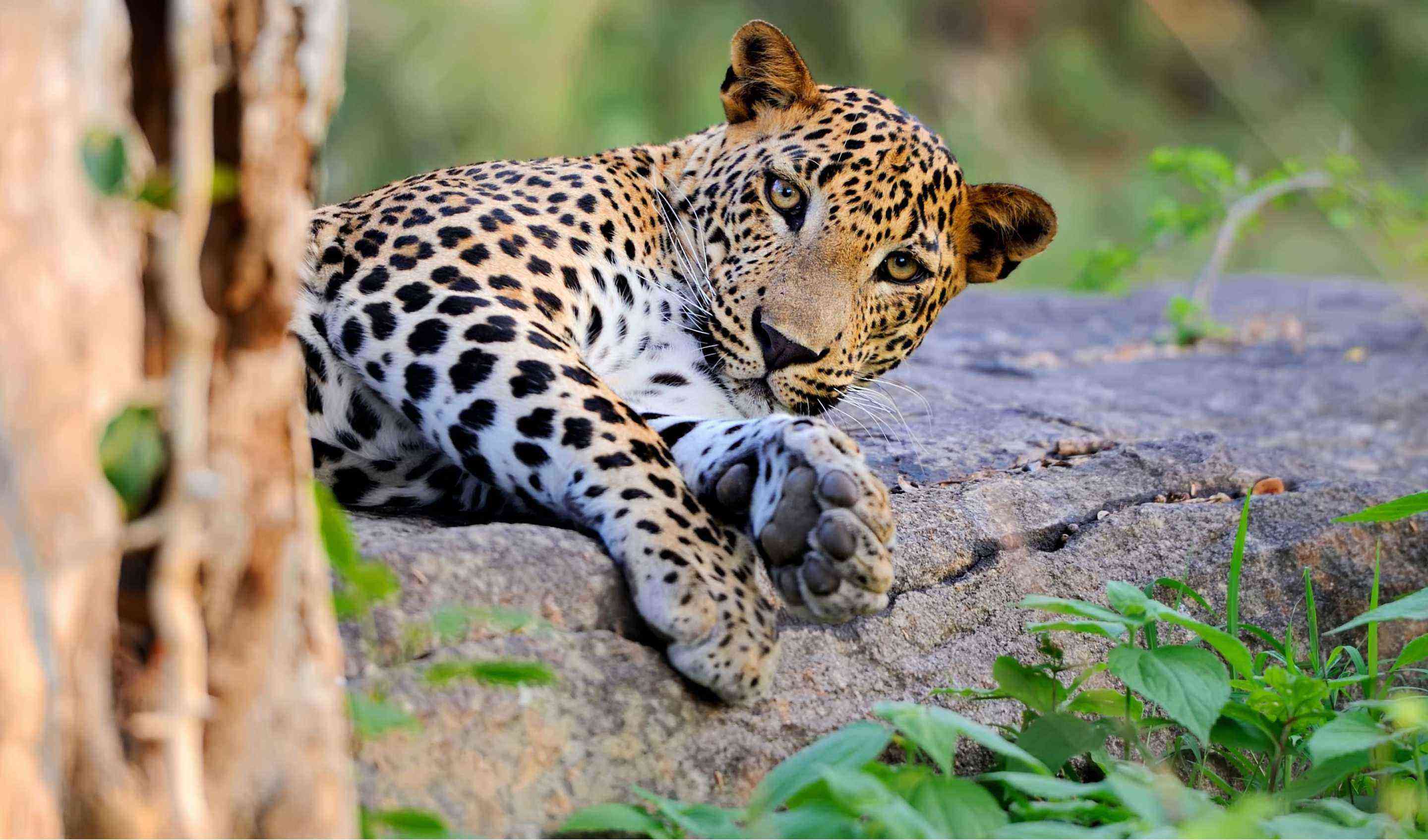 These Are the 10 Experiences You Should Have if You Want to See ...