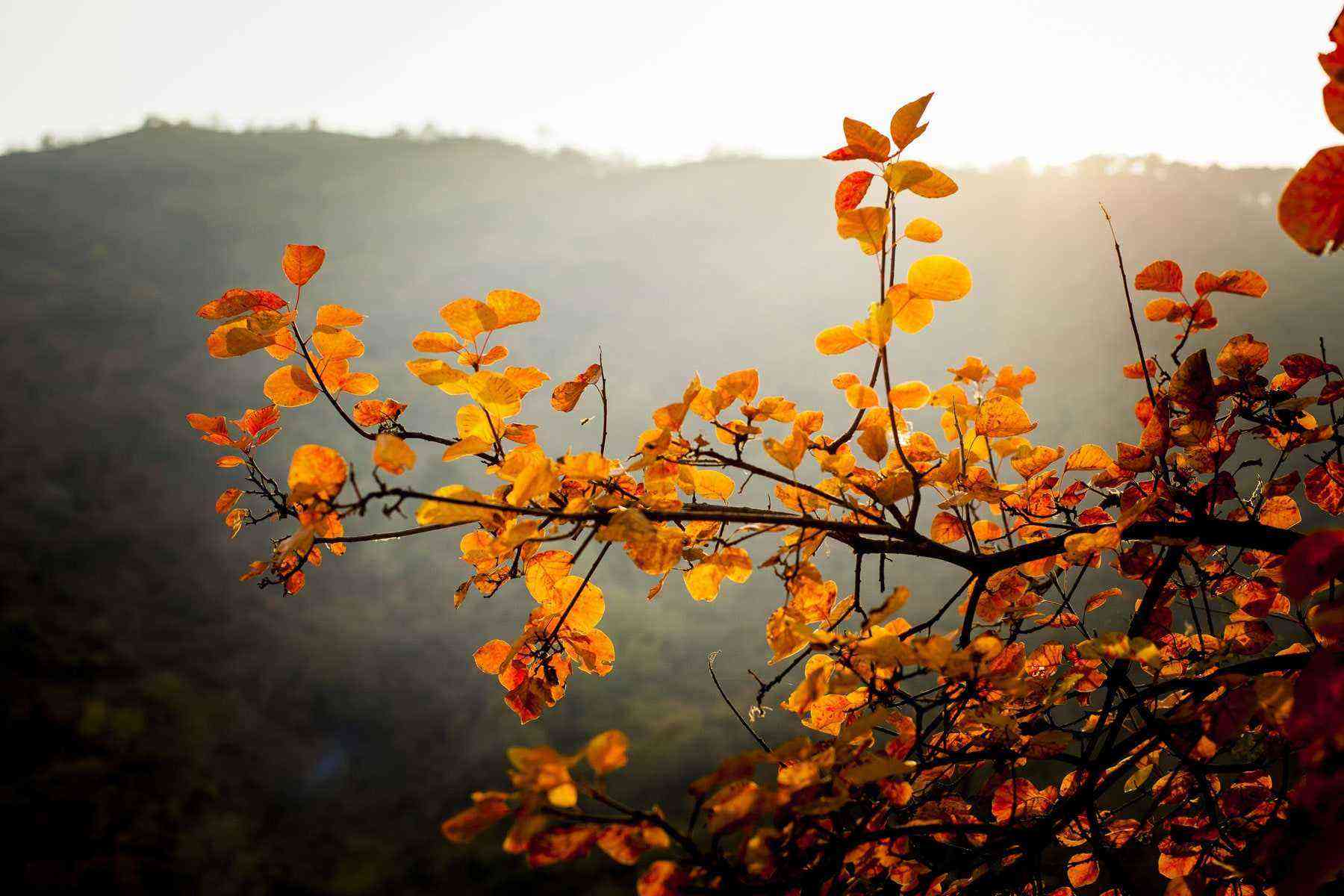 15 Places Around the World to See Gorgeous Fall Foliage – Fodors Travel ...