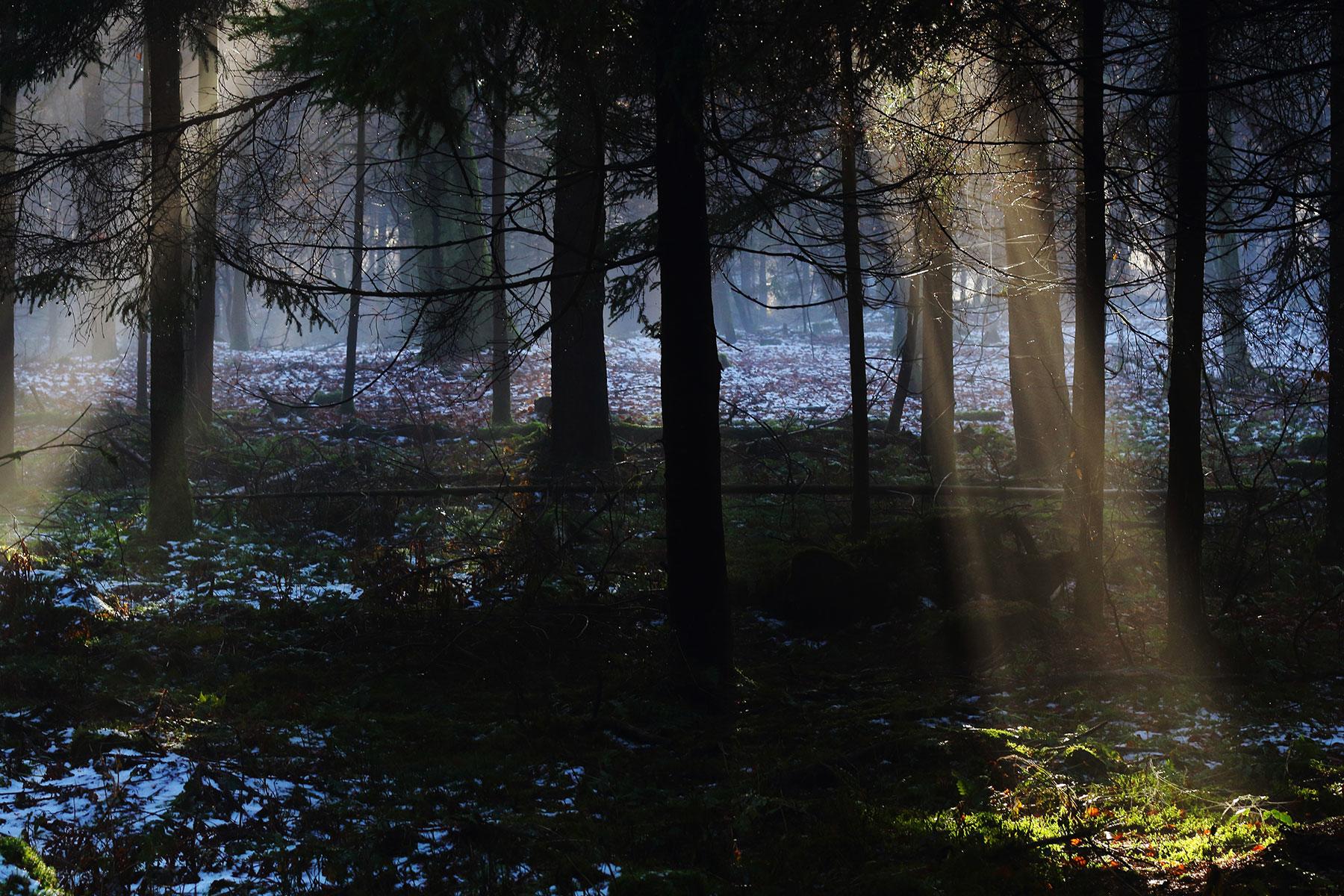 The Most Disturbing Urban Legend From Every State in America – Fodors ...