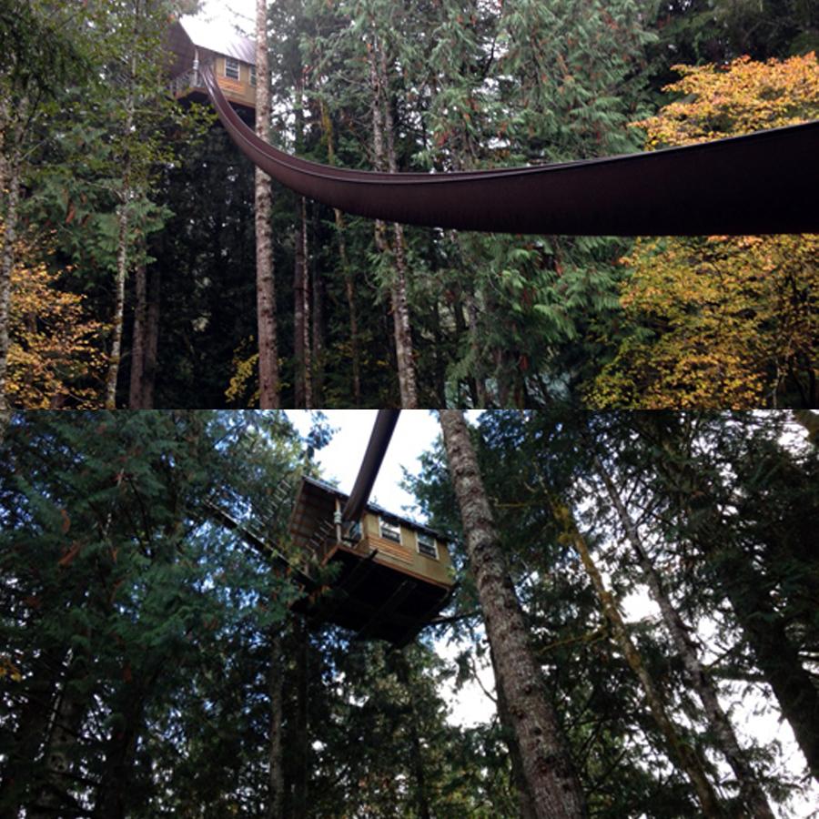 10 Tree-House Hotels in the U.S.